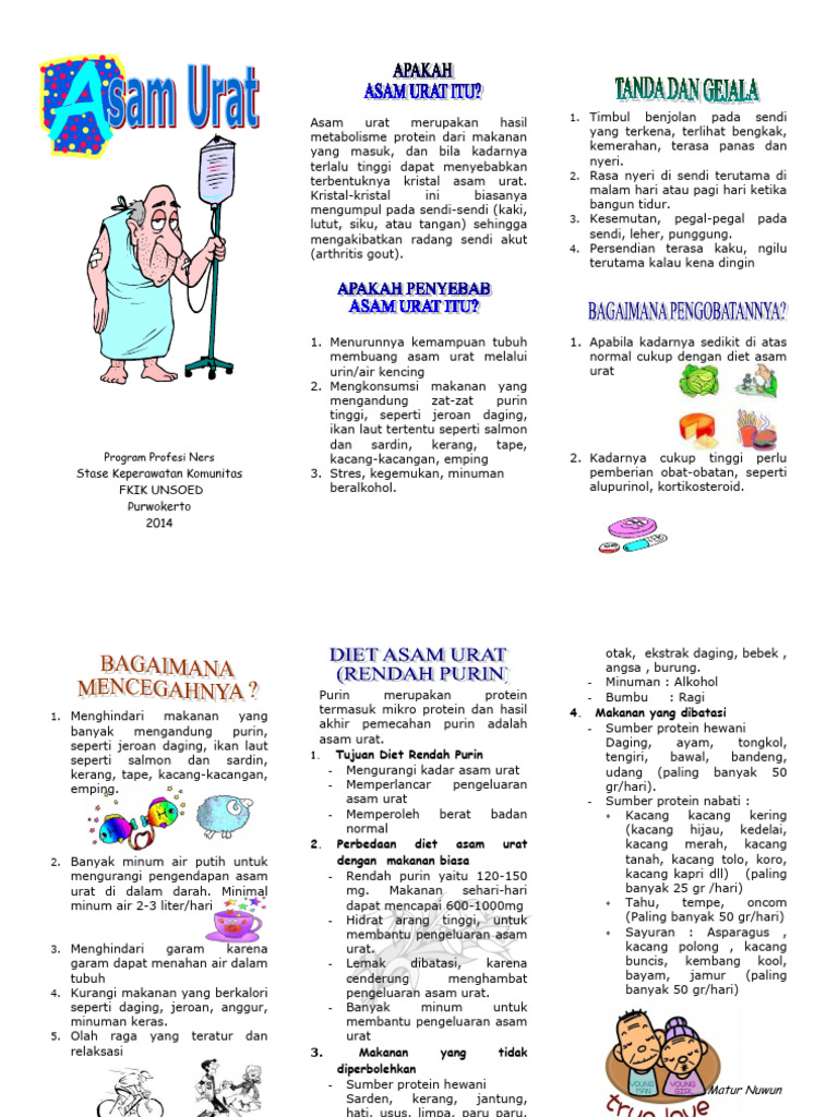 Leaflet Asam Urat | PDF
