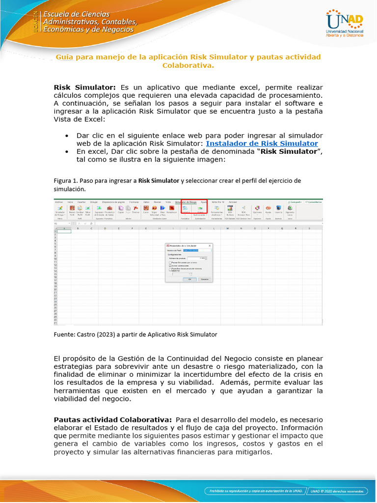 Anexo 1. Guía para Manejo de La Aplicación Risk Simulator y Pautas Actividad Colaborativa | PDF