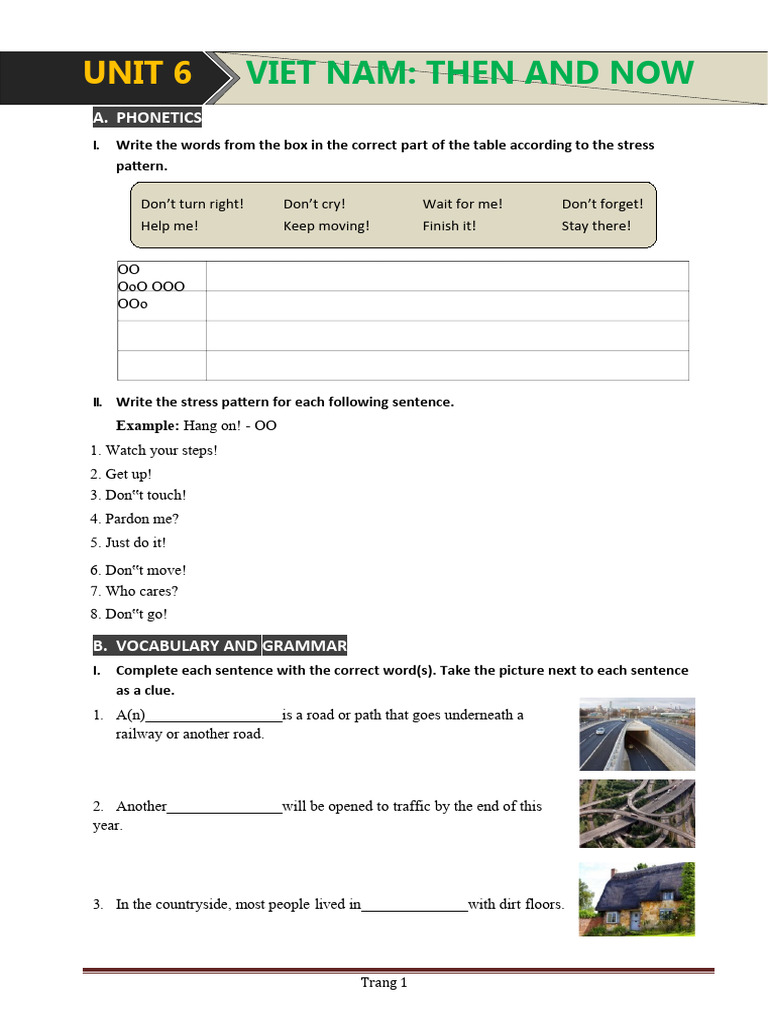 UNIT 6 VIET NAM THEN AND NOW Extra | PDF