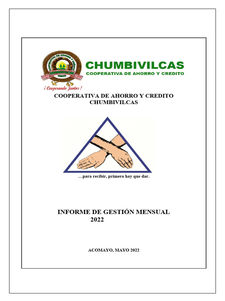 Informe Mensual Modelo | PDF