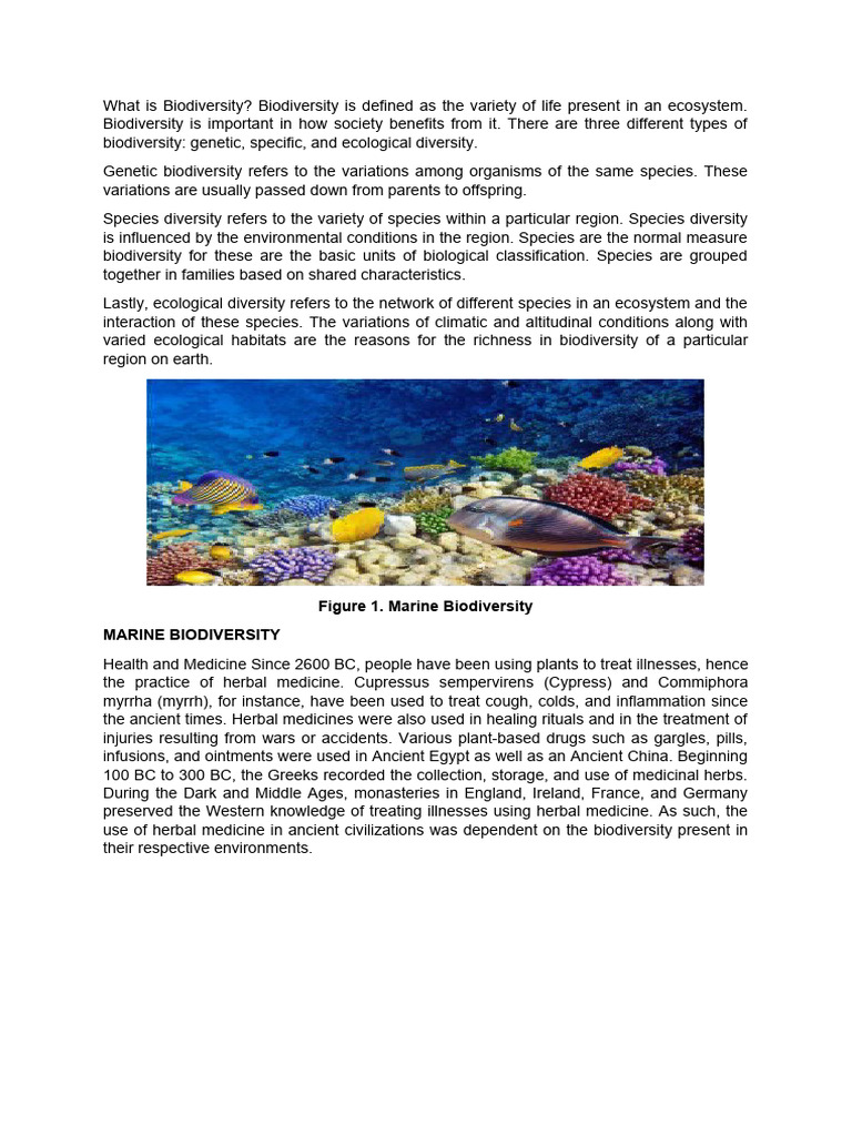 STS Biodiveristy No.1 Reporter (G2) | PDF | Water | Biodiversity