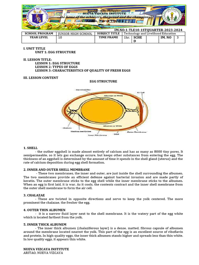Tle 10 Module 2 | PDF | Egg As Food | Yolk