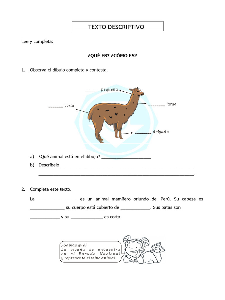 Ficha El Texto Descriptivo para Tercero de Primaria | PDF