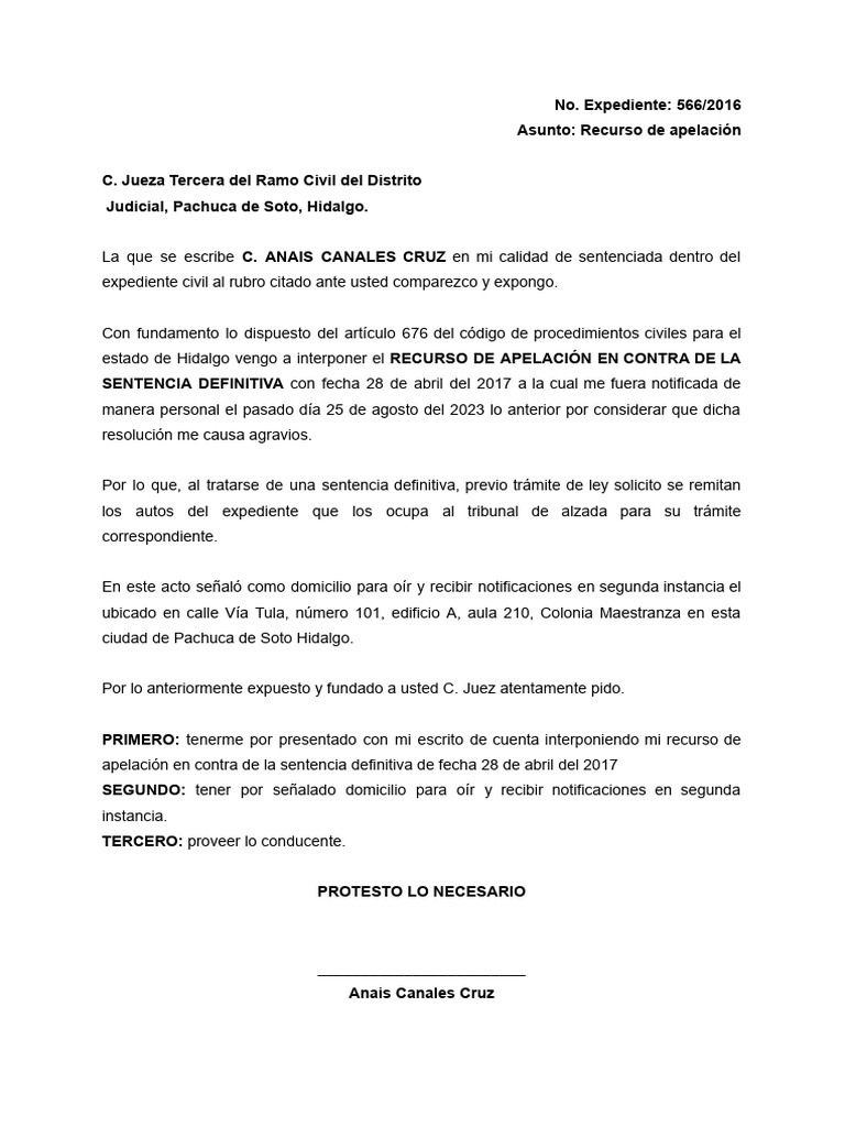 Recurso de Apelación en Contra de La Sentencia Definitiva | PDF