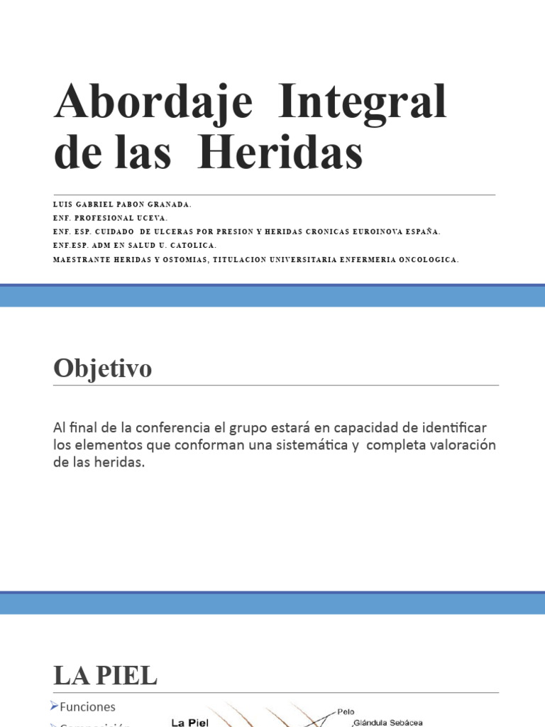 Abordaje Integral de La Herida 1 | PDF