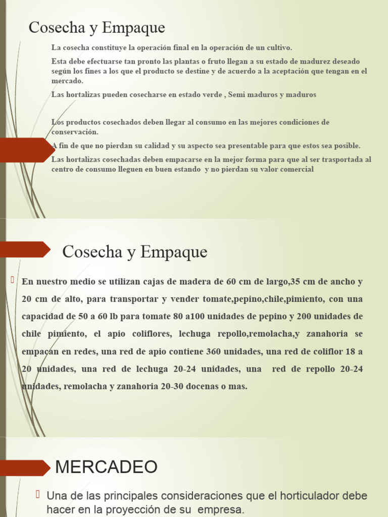 Cosecha y Empaque de Hortalizas | PDF | Cosecha | Plantas