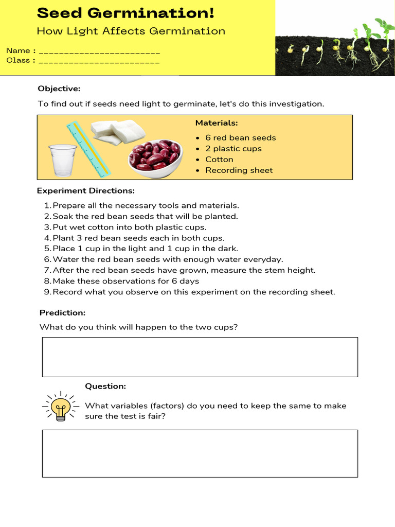 Seed Germination Science Experiment Colorful Lined Illustrated ...