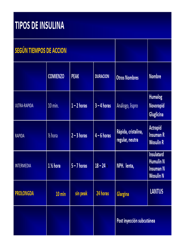 Tipos y Tiempos de Acción de Insulina | PDF