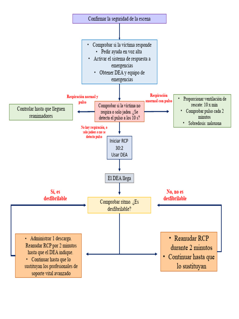 Algoritmo Soporte Vital Básico | PDF