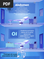 Anatomia de Mesorecto | PDF | Cáncer colonrectal | Cirugía