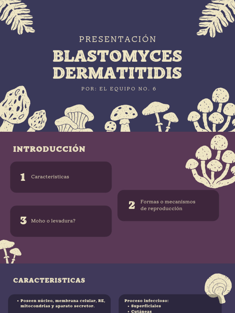 Blastomyces Dermatitidis | PDF