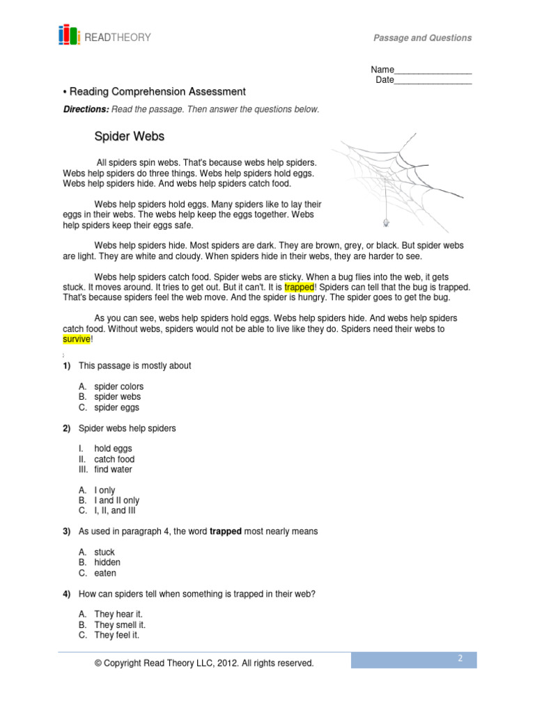 Spider Web | PDF