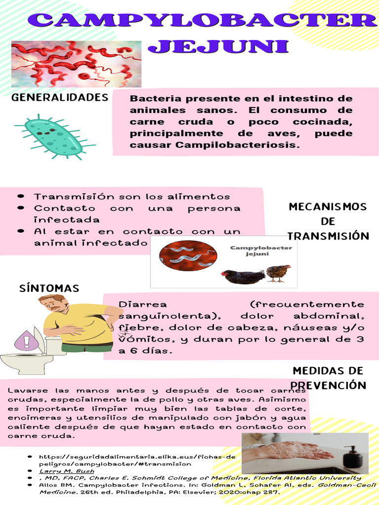 Campylobacter Jejuni INFOGRAFIA | PDF