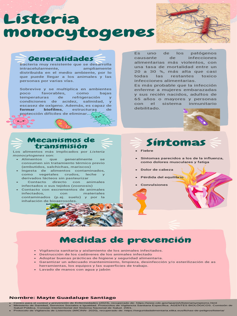 Listeria Monocytogenes Infografia | PDF
