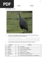 GEDIG 2 Nkosi Sikelel I Afrika H.A.Fagan | PDF