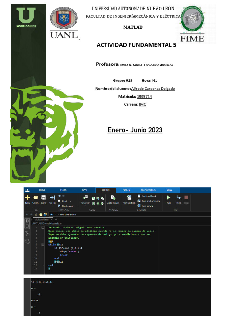 ACT.5_MATLAB_1995724 1 | PDF