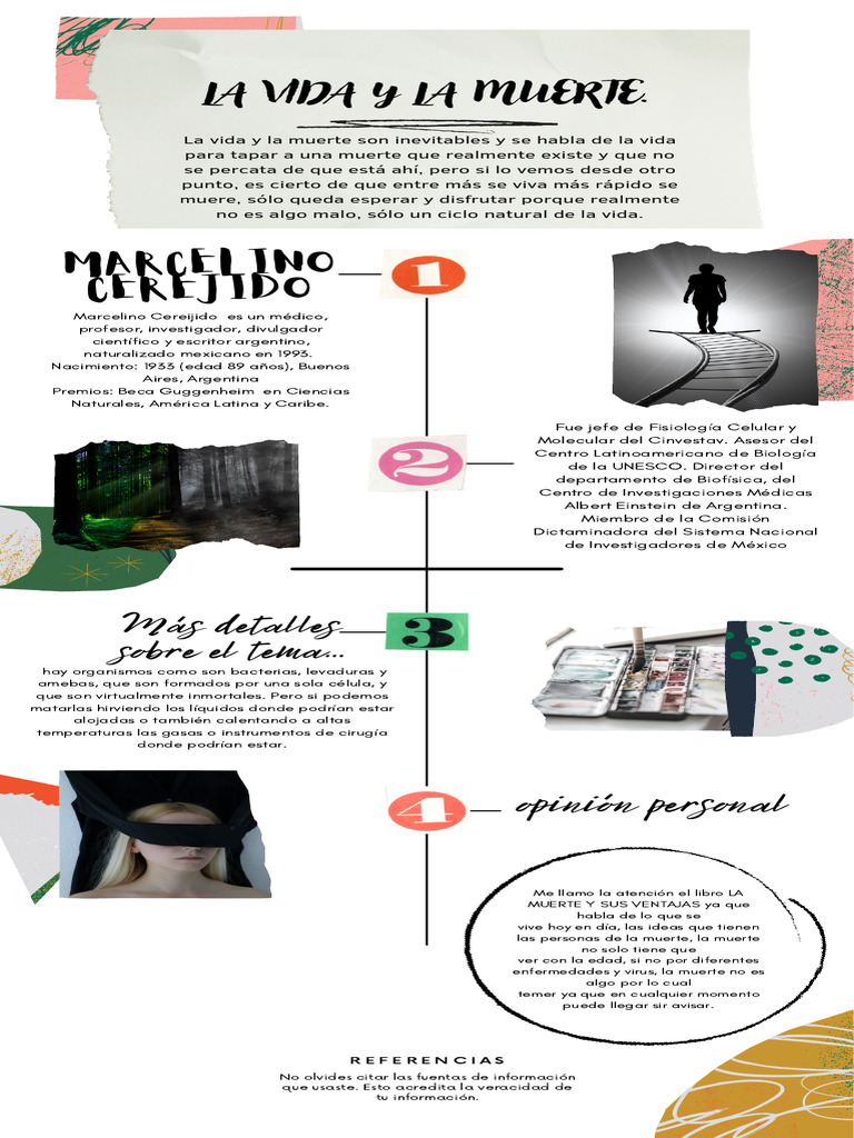 Infografia LA VIDA Y LA MUERTE. | PDF