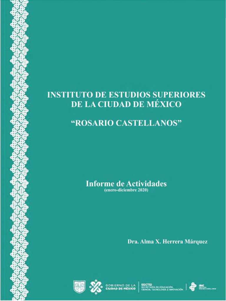 Irc Informe 2020 | PDF