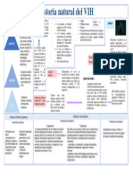 Mapa Conceptual Conamed | PDF