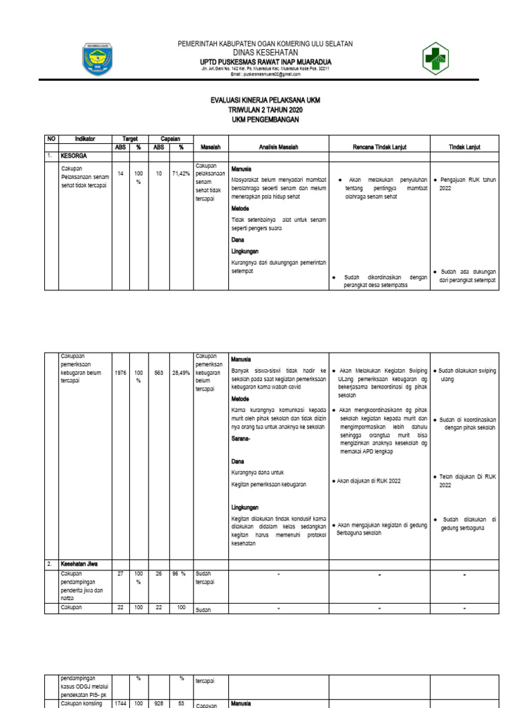 EVALUASI KINERJA UKM PENGEMBANGAN | PDF