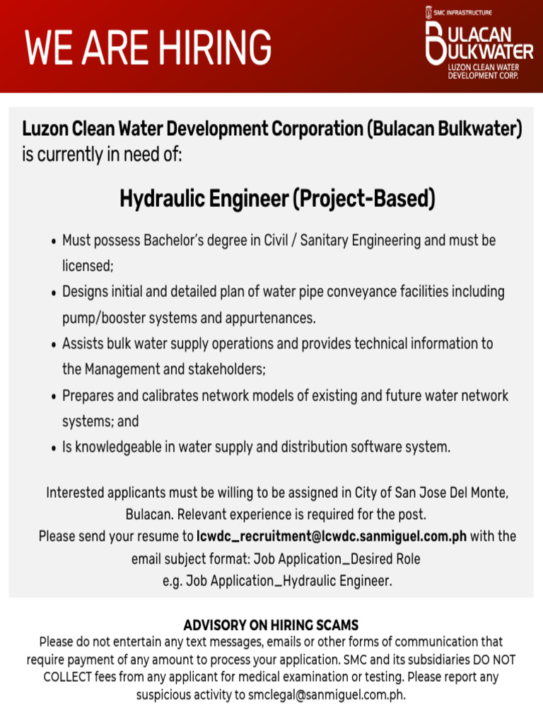 PESO Job Ad | PDF | Accountant