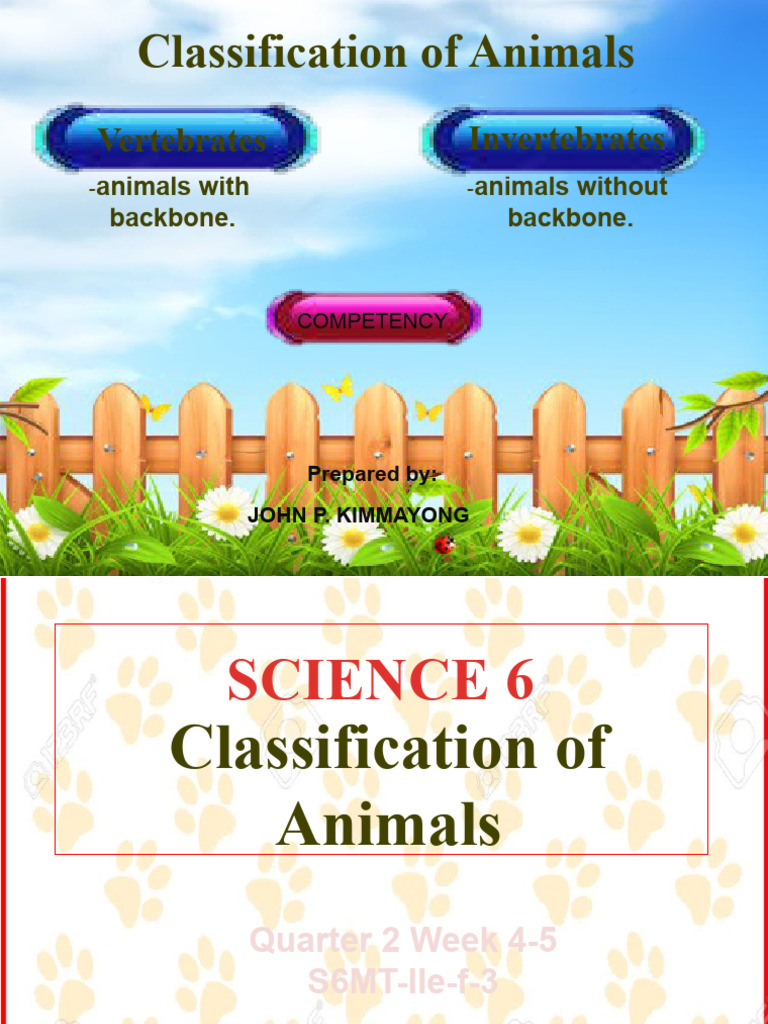 Hands On Demo | PDF | Vertebrates | Invertebrate