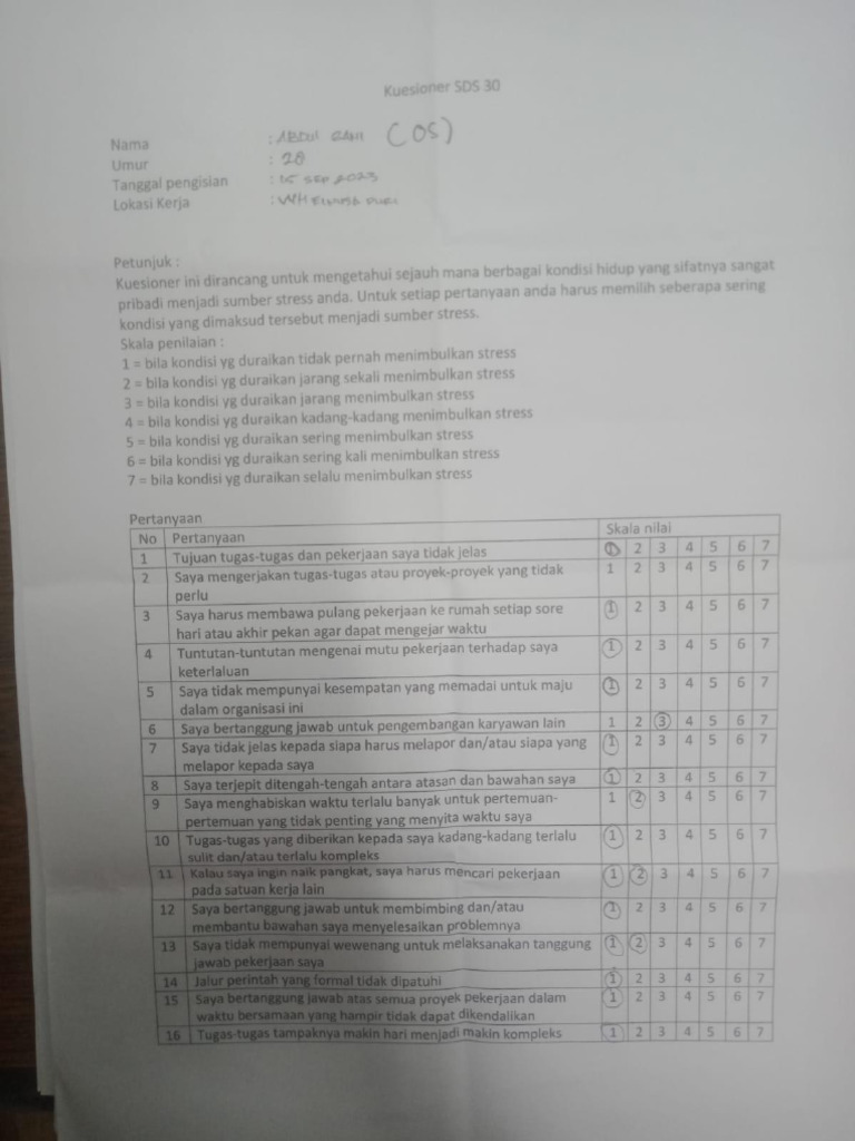Kuisioner SDS 30 Abdul Gani (Os) | PDF