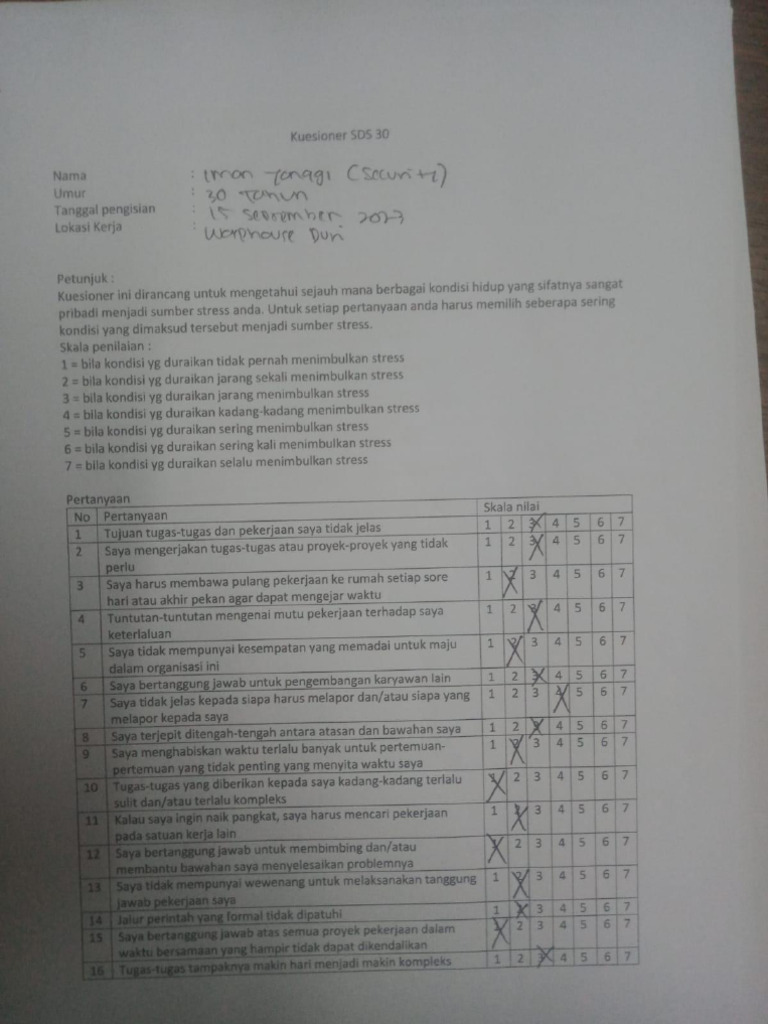 Kuisioner SDS 30 Iman Yonggi (Security) | PDF