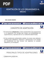 Signo de Murphy | PDF | Vesícula biliar | Gastroenterología