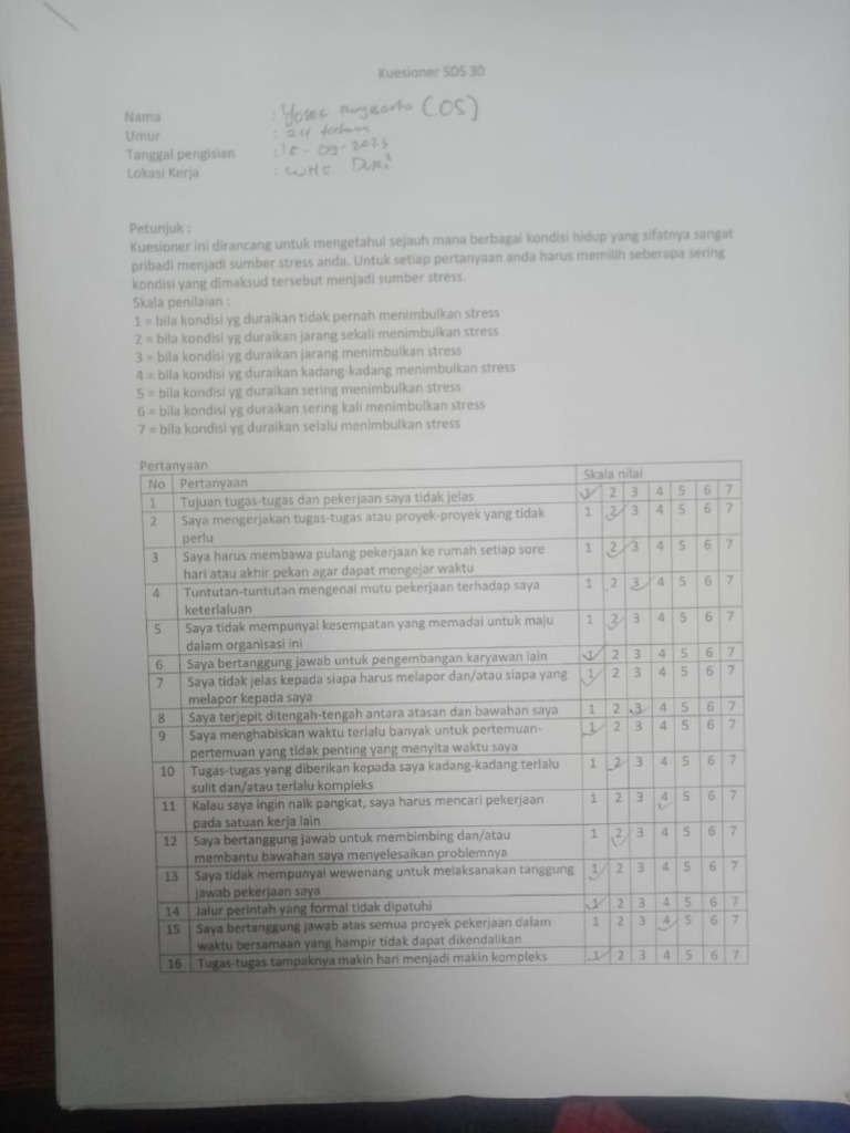 Kuisioner SDS 30 Yosef Royberto (Os) | PDF