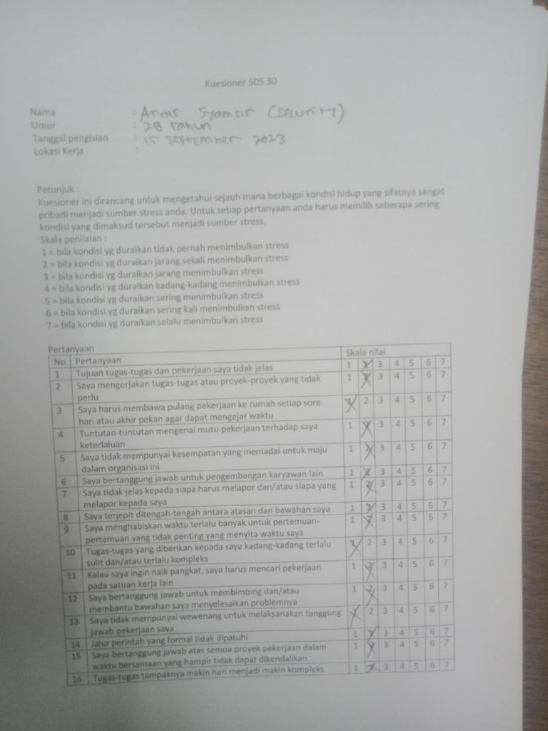 Kuisioner SDS 30 Andik Syamsir (Security) | PDF