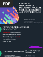 Inflammatory Response Flowchart | PDF | Inflammation | Medicine
