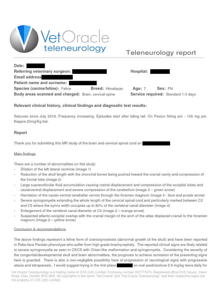 MRI and CT Sample Report 3 | PDF