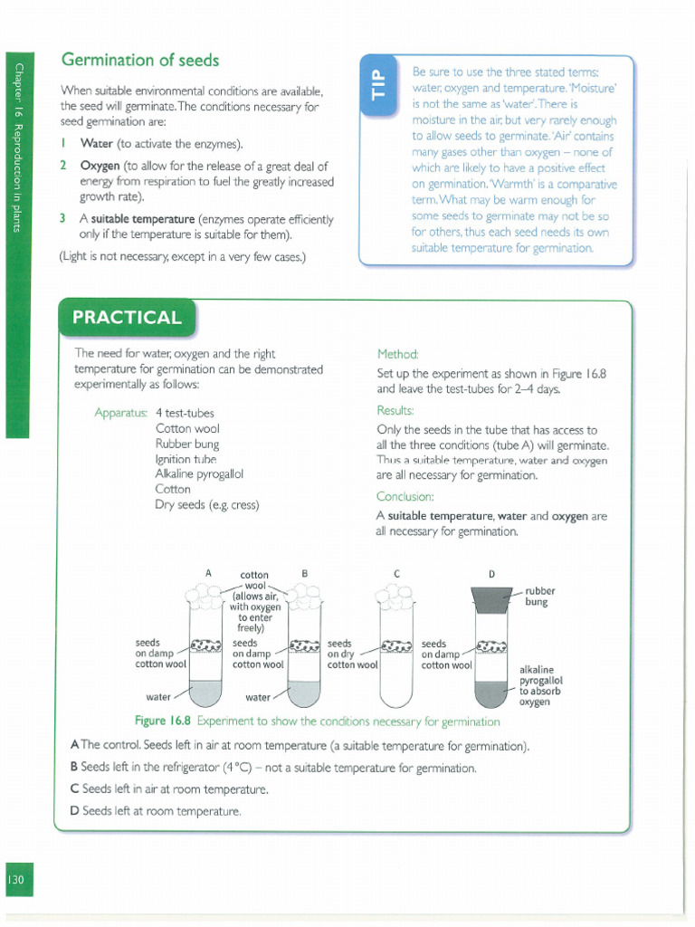 Igce Biology Plant Nutrition and Transportation - Part 2 | PDF