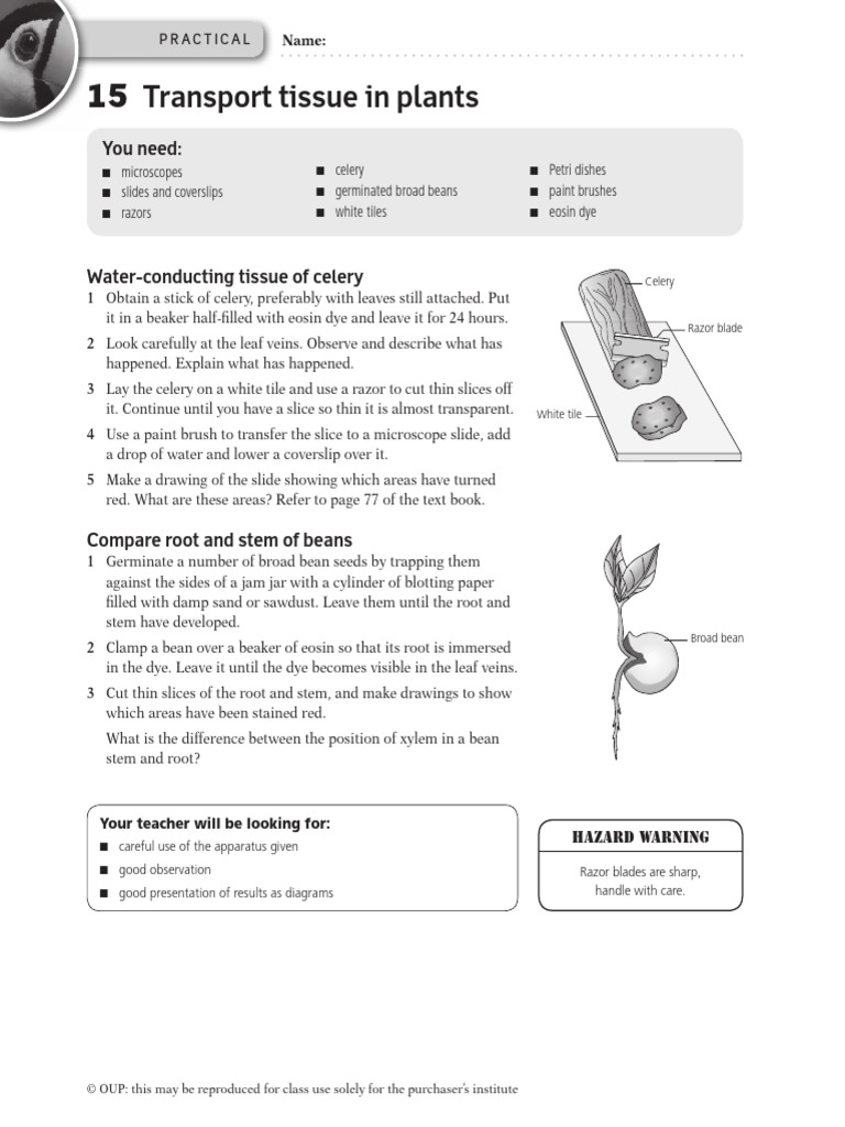 IGCSE BIO - TB Practical Activities15 | PDF