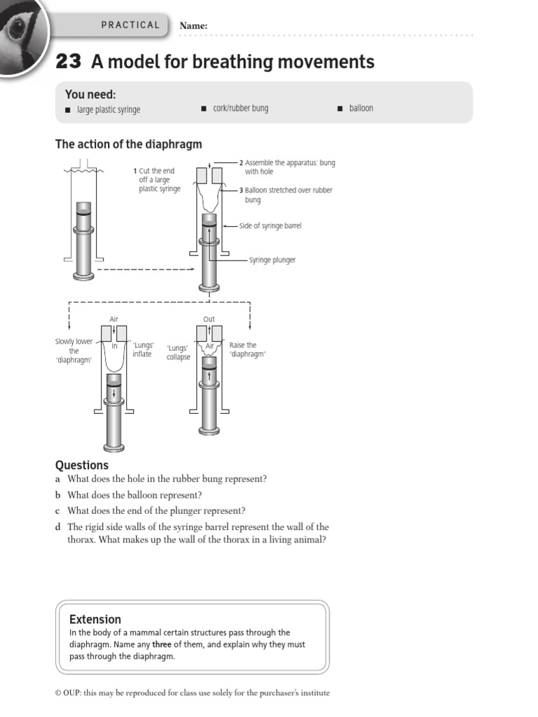 IGCSE BIO - TB Practical Activities23 | PDF