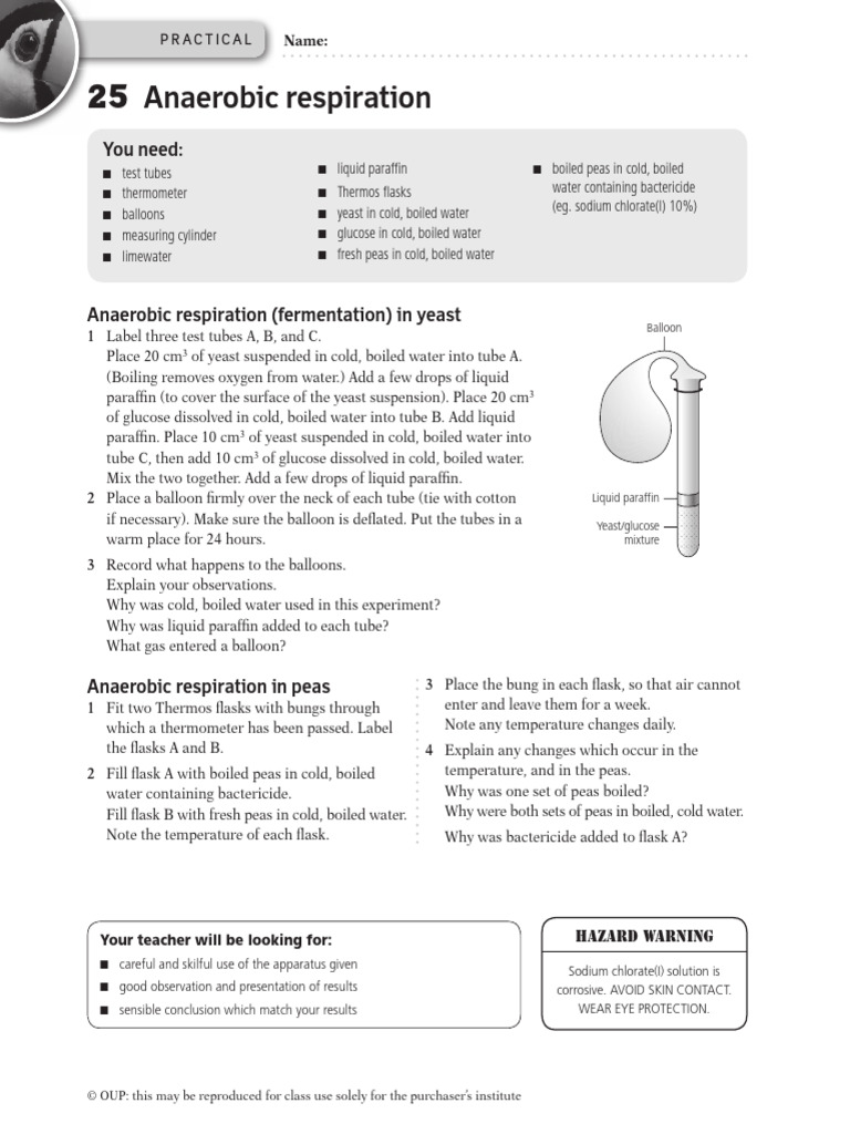 IGCSE BIO - TB Practical Activities25 | PDF
