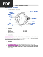 Sheep Eye Dissection Lab Guide | PDF | Eye | Facial Features