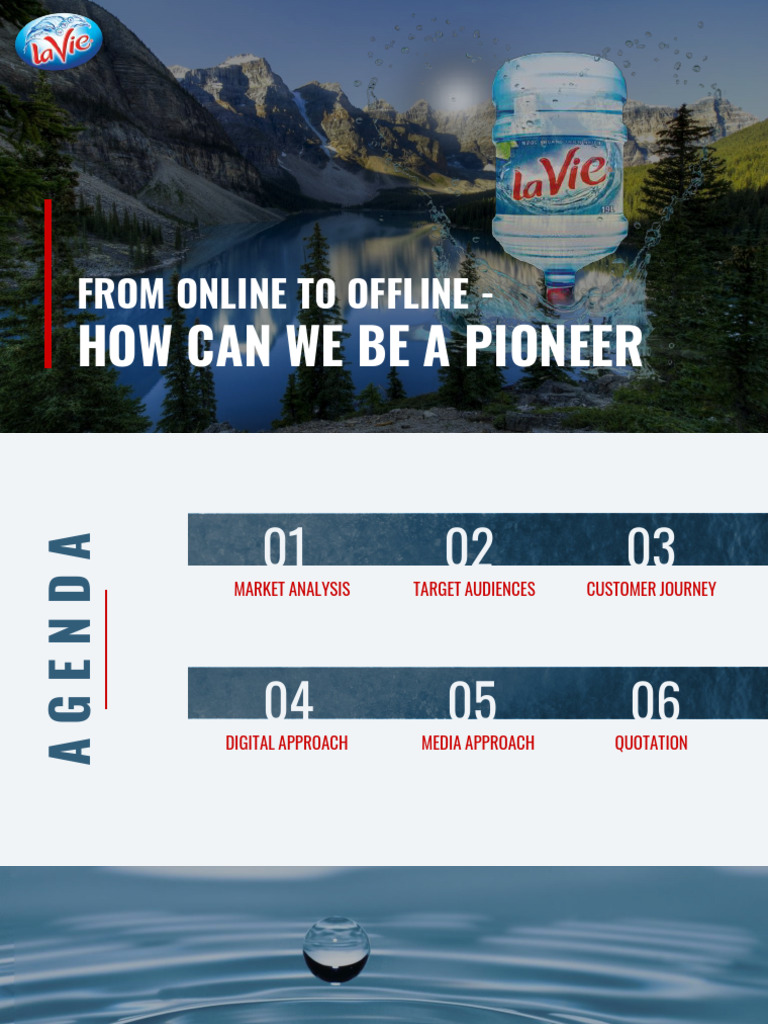 Lavie Proposal - Presented by Pmax | PDF | Brand | Target Audience