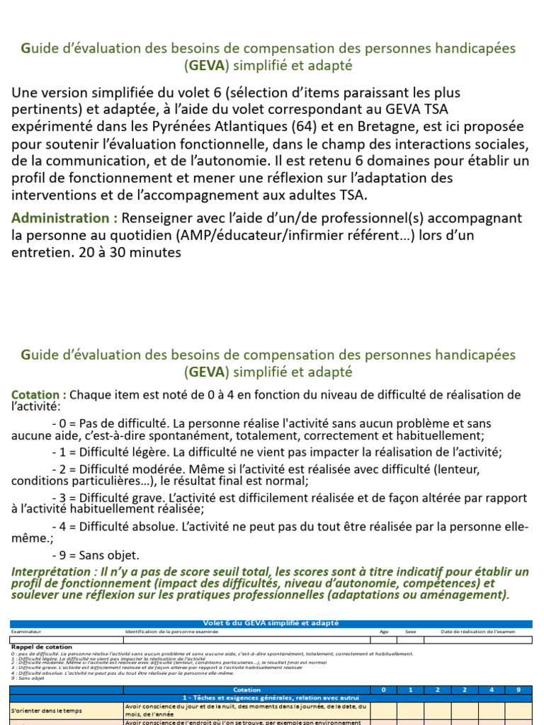 GEVA Simplifiee Et Adaptee TSA FR | PDF