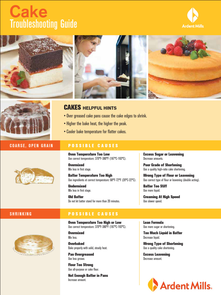Troubleshooting Guide Cakes en FNL | PDF