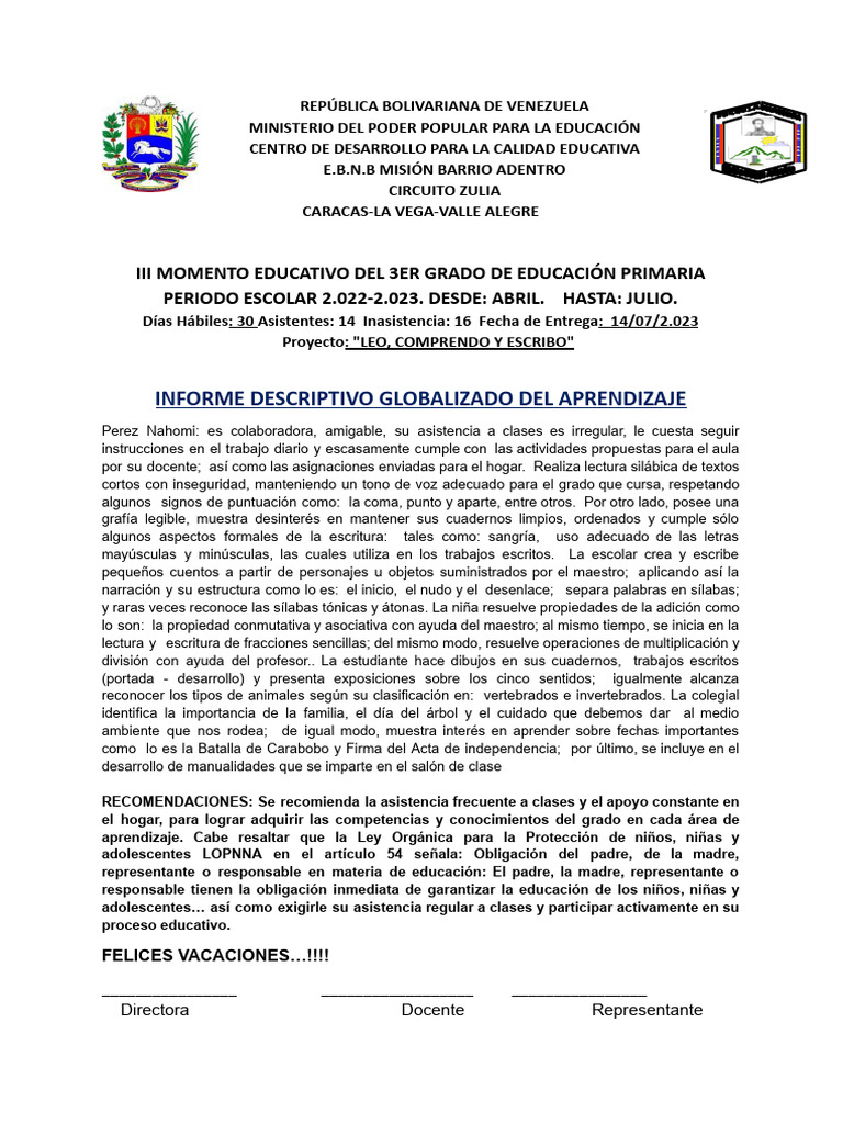 Informe Descriptivo | PDF