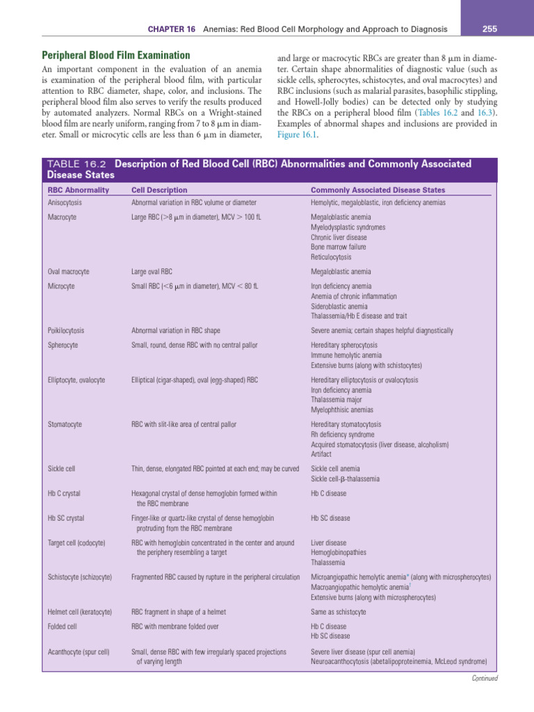 Peripheral Blood Film Examination | PDF