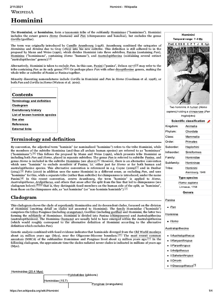 Hominini Pdf