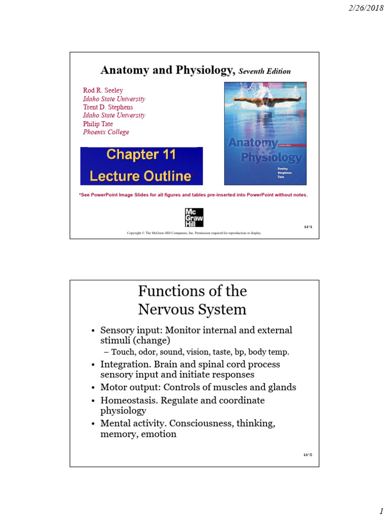 Nerve Physiology | PDF | Axon | Synapse