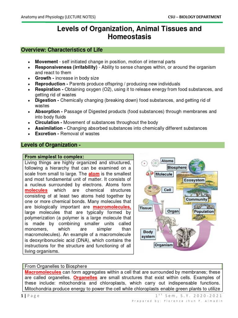 Levels of Organization, Animal Tissues, Organ Systems and Homeostasis | PDF