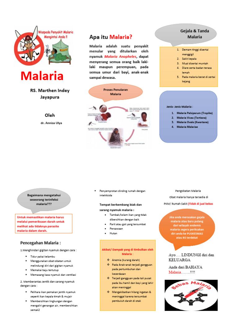Leaflet Malaria 01 | PDF