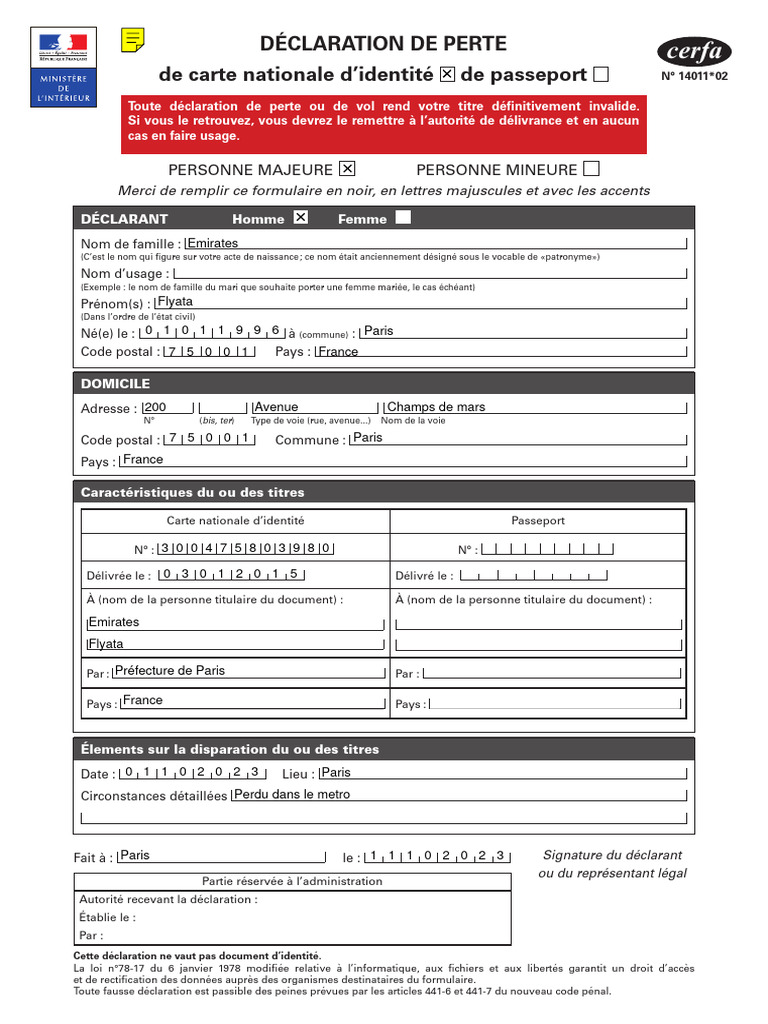 Cerfa: Déclaration de Perte de Carte Nationale D'identité de Passeport ...