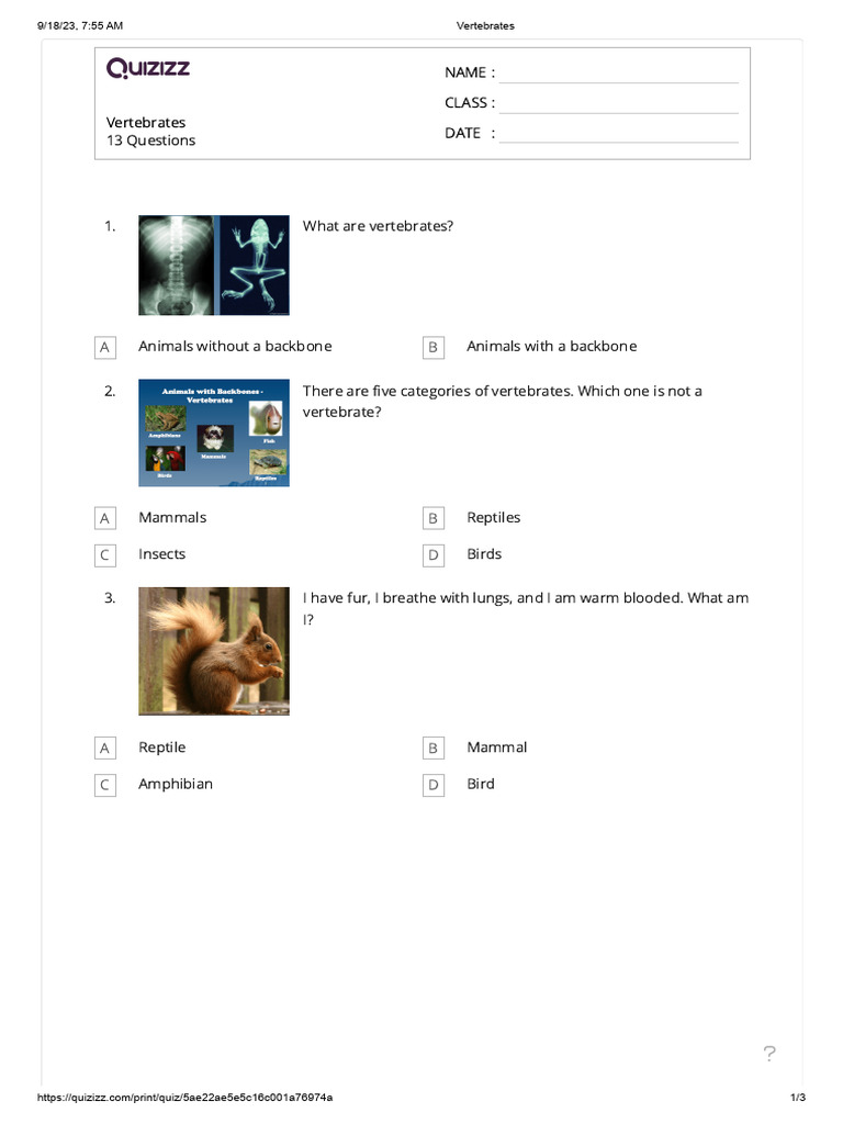 Worksheet 2 - Vertebrates | PDF | Vertebrates | Amphibian