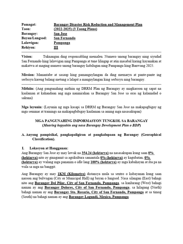 BDRRM 3 Year Plan | PDF